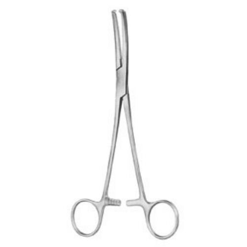 LONG CLAMP FCPS CVD 1X2 T. 19CM – AxisHealth