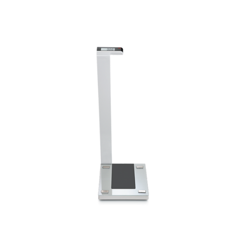 seca 719- Electronic Column Scale with Safety Glass Platform, Capacity ...