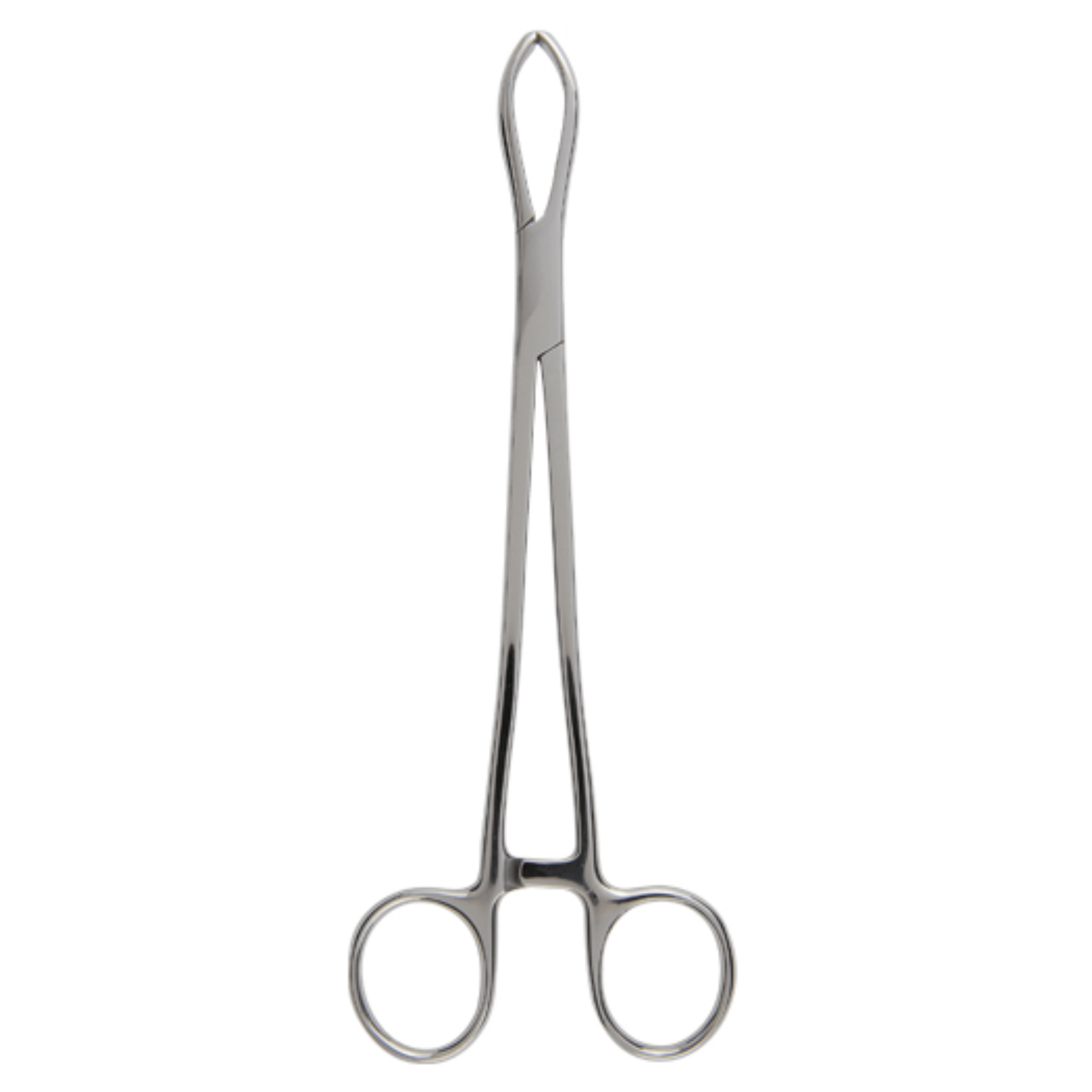 LITTLEWOOD TISSUE FCP 19CM – AxisHealth