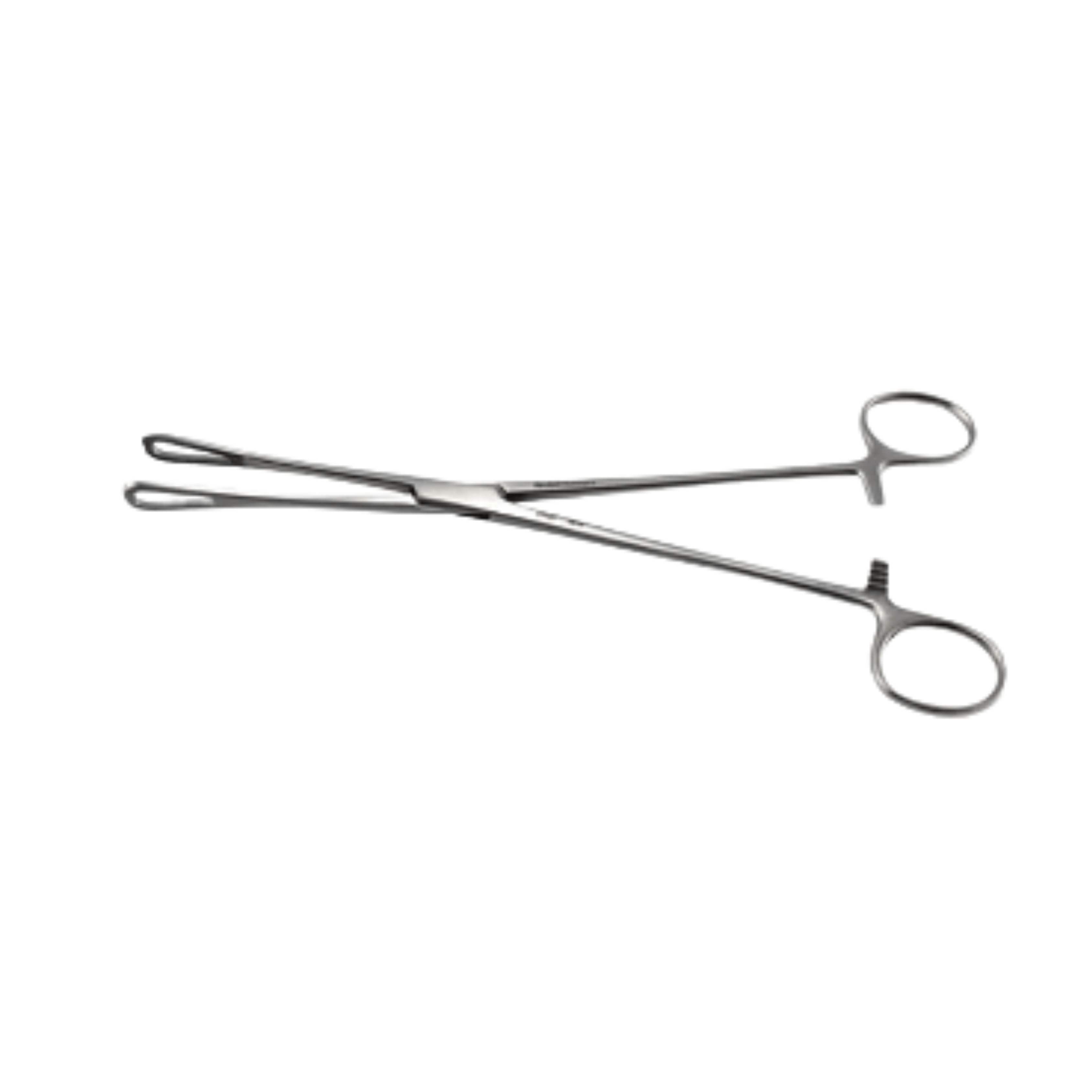Rampleys Sponge Holding Forceps- 24 cm - 2 – AxisHealth